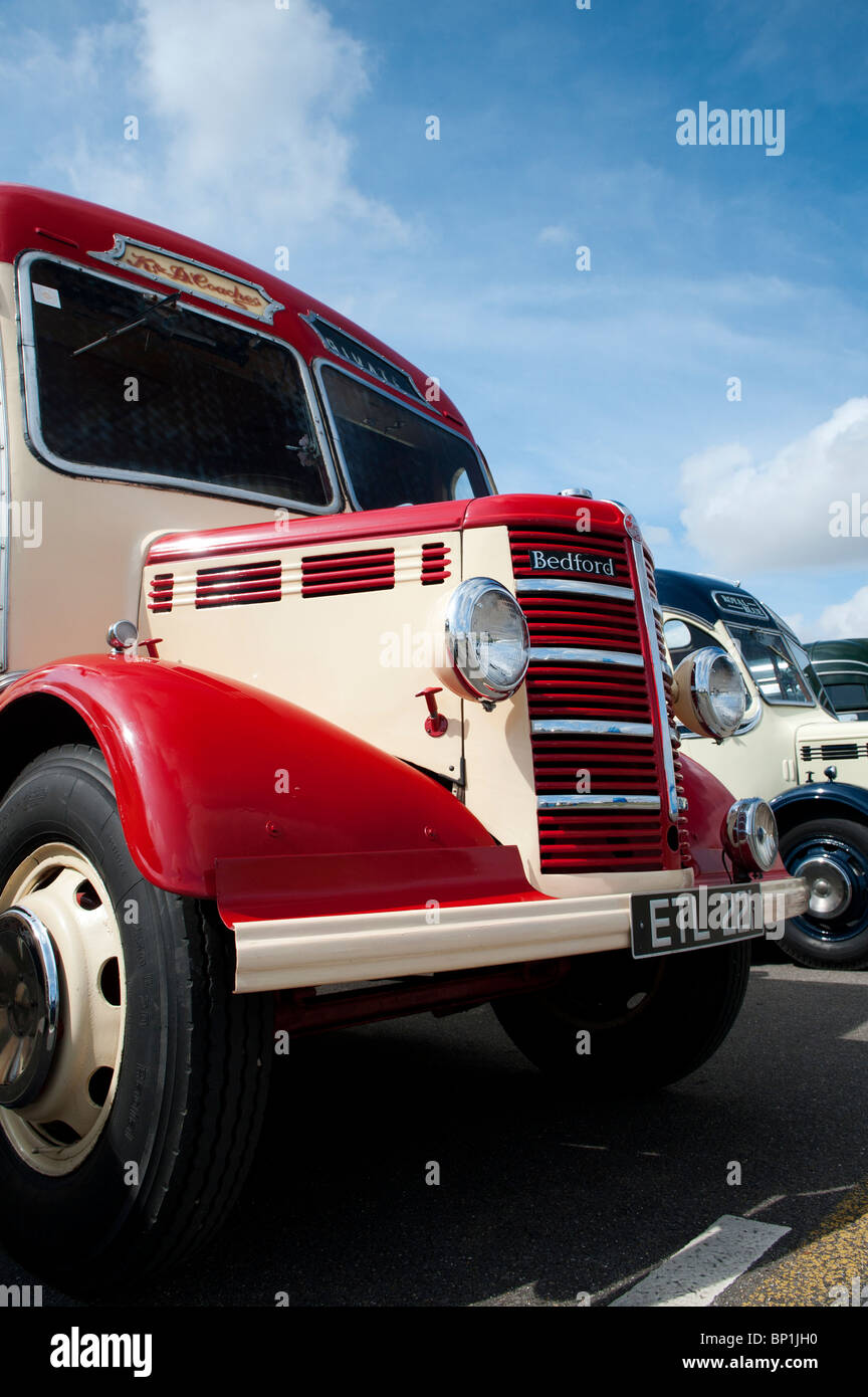 Vintage OB Bedford Coaches at a steam fair in England Stock Photo - Alamy