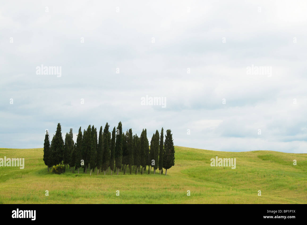 Cypress trees with hi-res stock photography and images - Alamy
