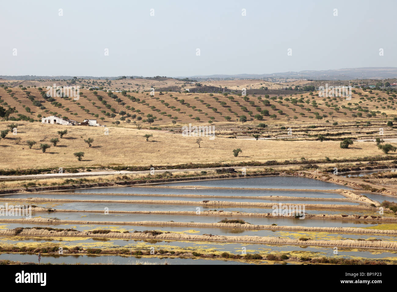 Agriculture in portugal hi-res stock photography and images - Alamy