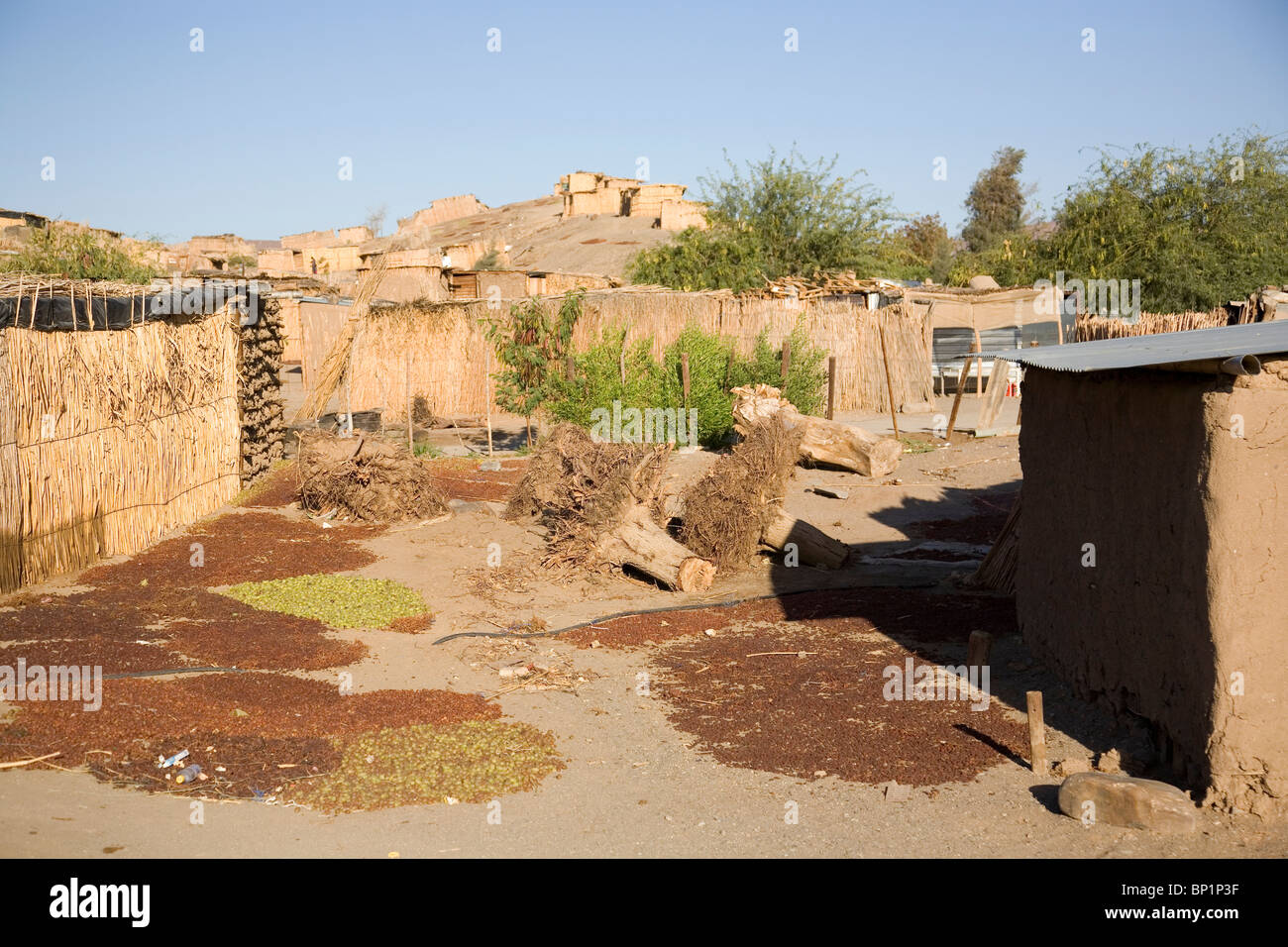 Aussenkehr Village - drying grapes on ground - Southern Namibia Stock ...