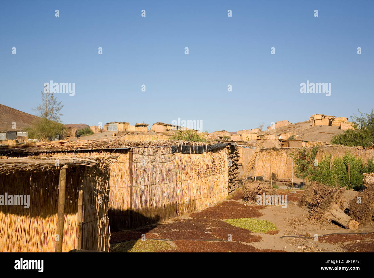 Bp1p78 hi-res stock photography and images - Alamy