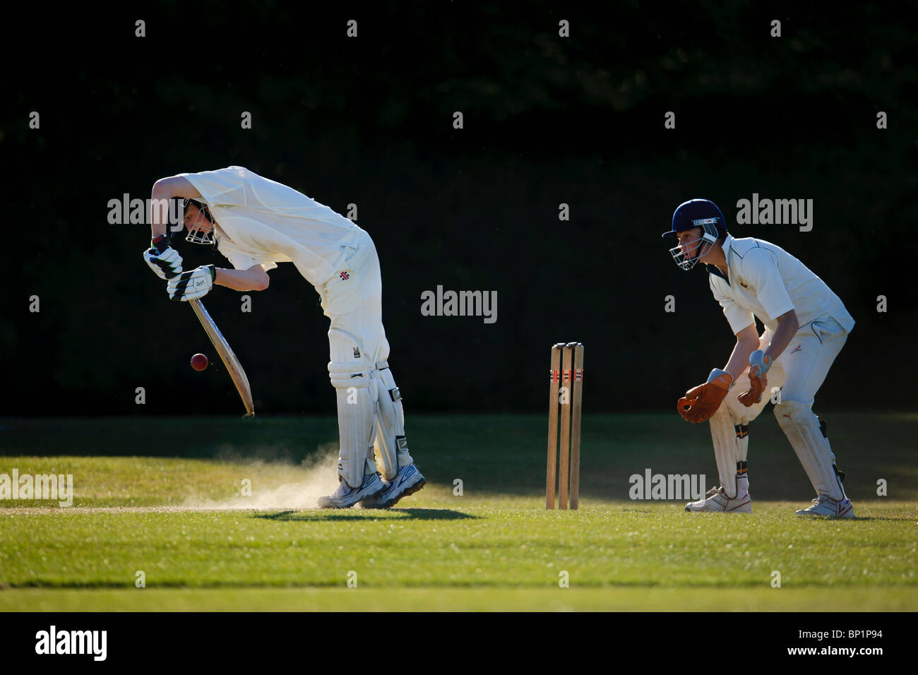 Cricket batsman in action Stock Photo - Alamy