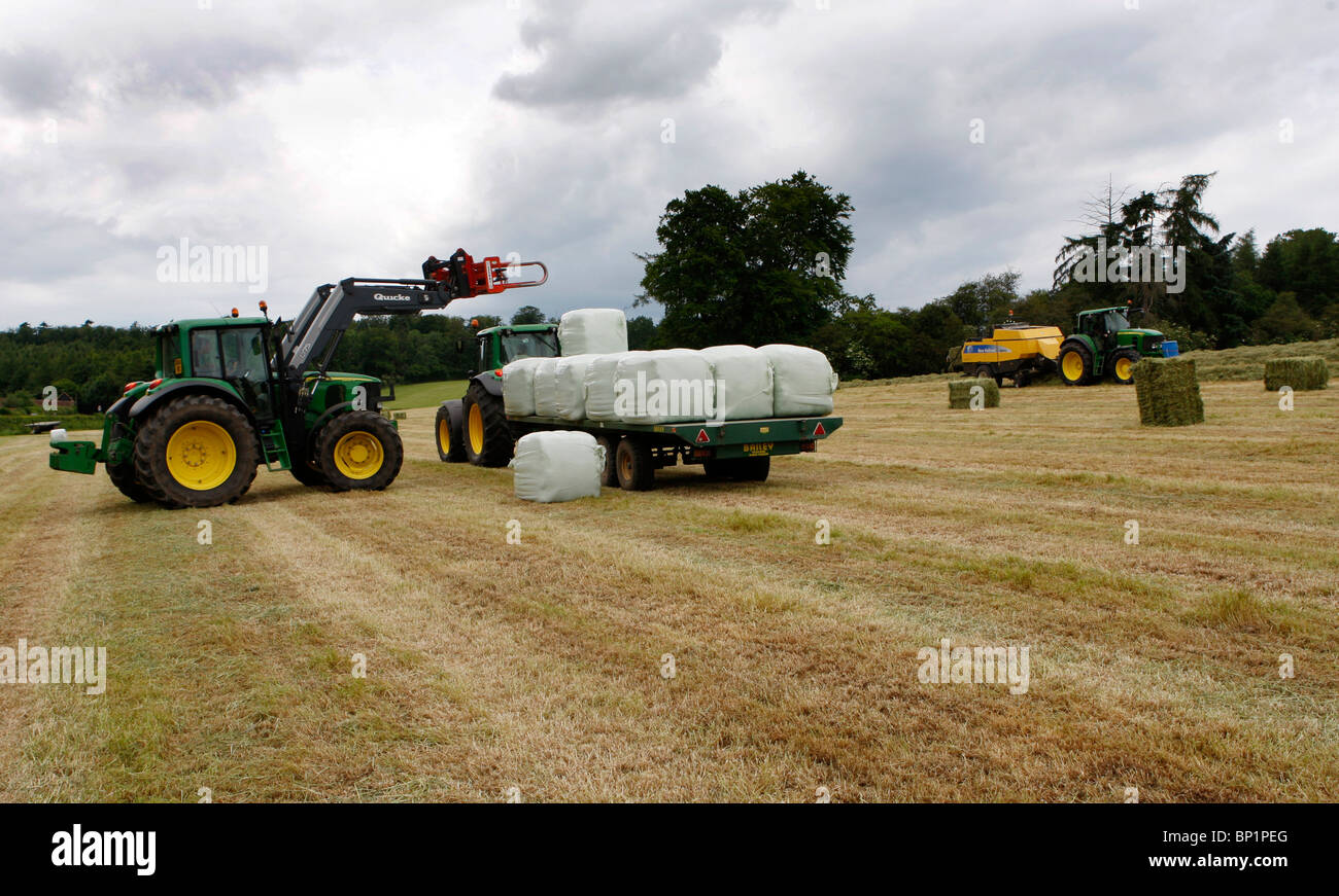 Haylage bale making for horse feed in the Chiltern Hills, South ...