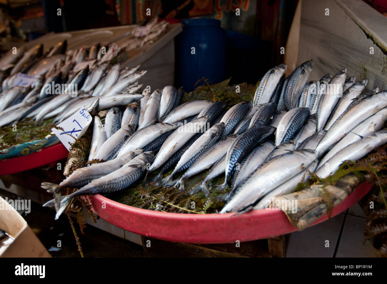 Karaköy, fishmarket, Istanbul, Turkey Stock Photo - Alamy