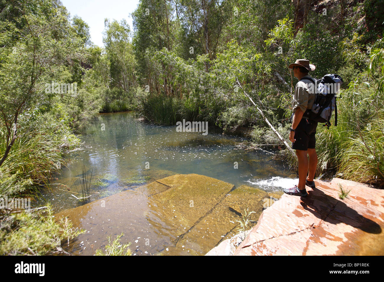 Dales Gorge in Karijini National Park with Fortescue Falls, Tom Price ...