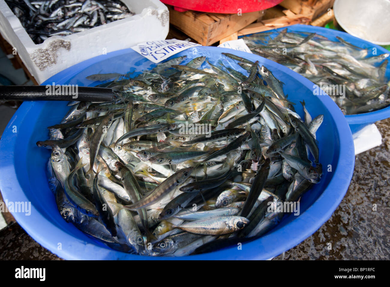Fresh fish stand hi-res stock photography and images - Alamy