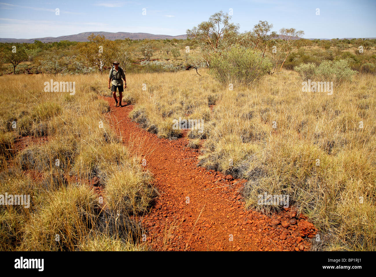 A plateau in Karijini National Park, Tom Price, Australia Stock Photo ...