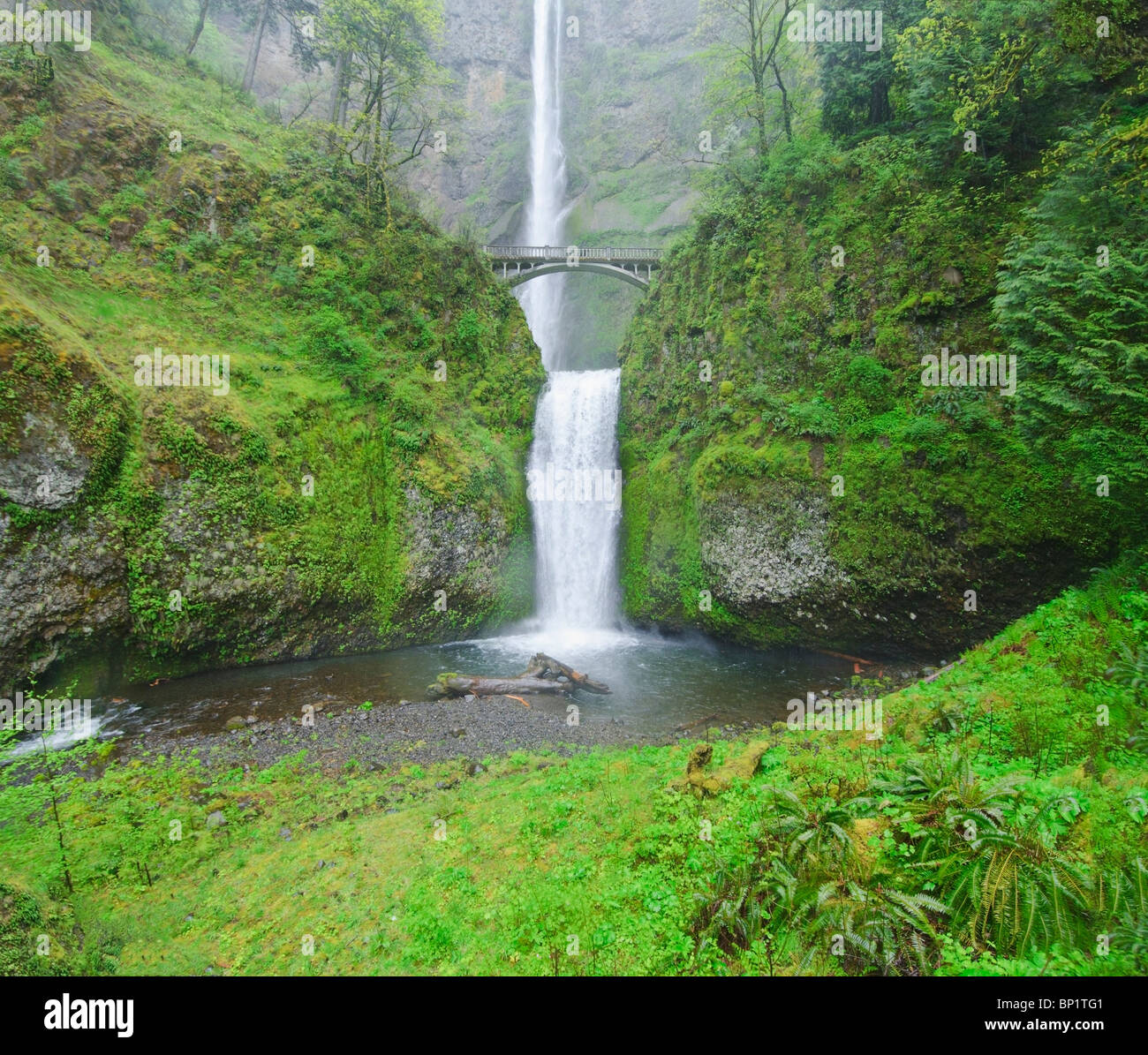 Oregon, United States Of America; Multnomah Falls In Spring In Columbia ...