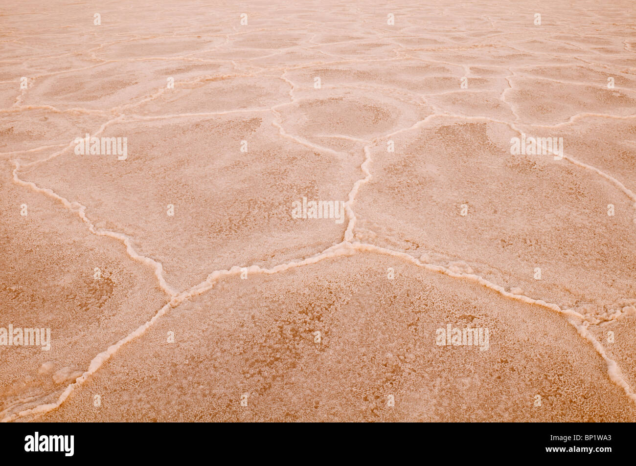 Salt pan patterns, Death Valley National Park. California Stock Photo ...