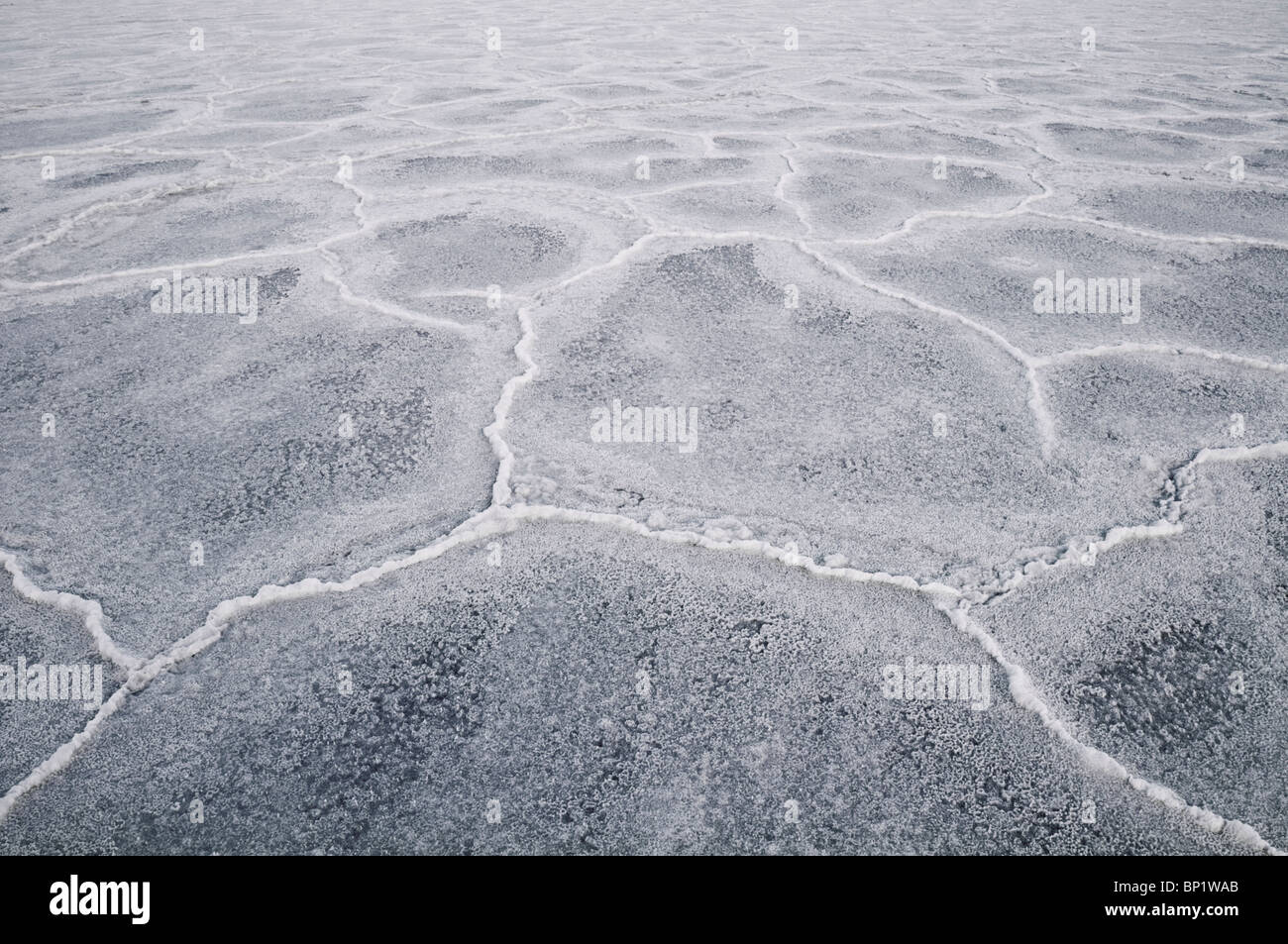 Salt pan patterns, Death Valley National Park. California Stock Photo ...