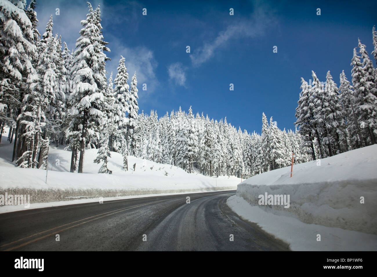 Oregon Cascades, United States Of America; Snow Along The Road At ...