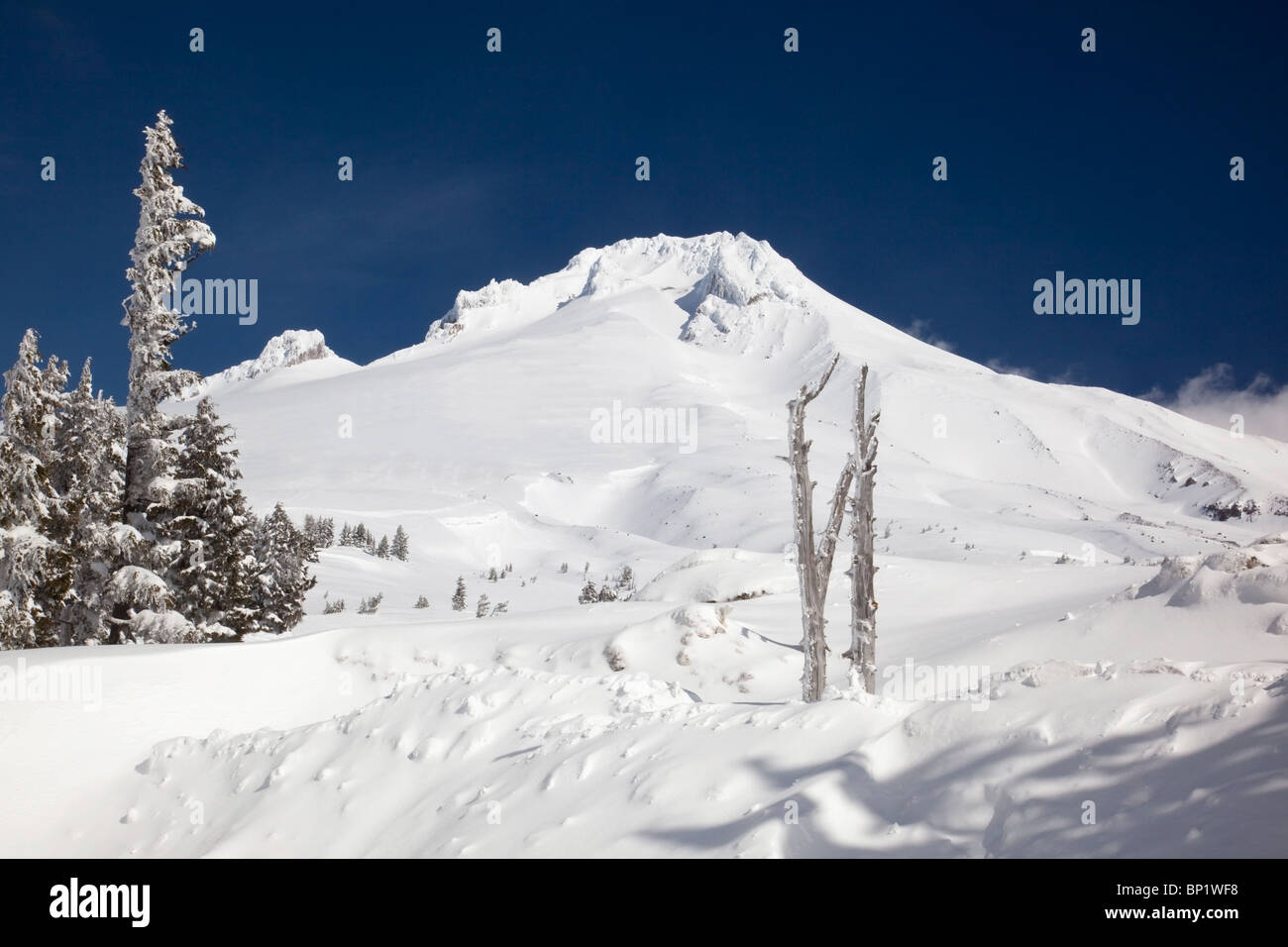 Oregon Cascades, United States Of America; Snow At Timberline On Mount ...