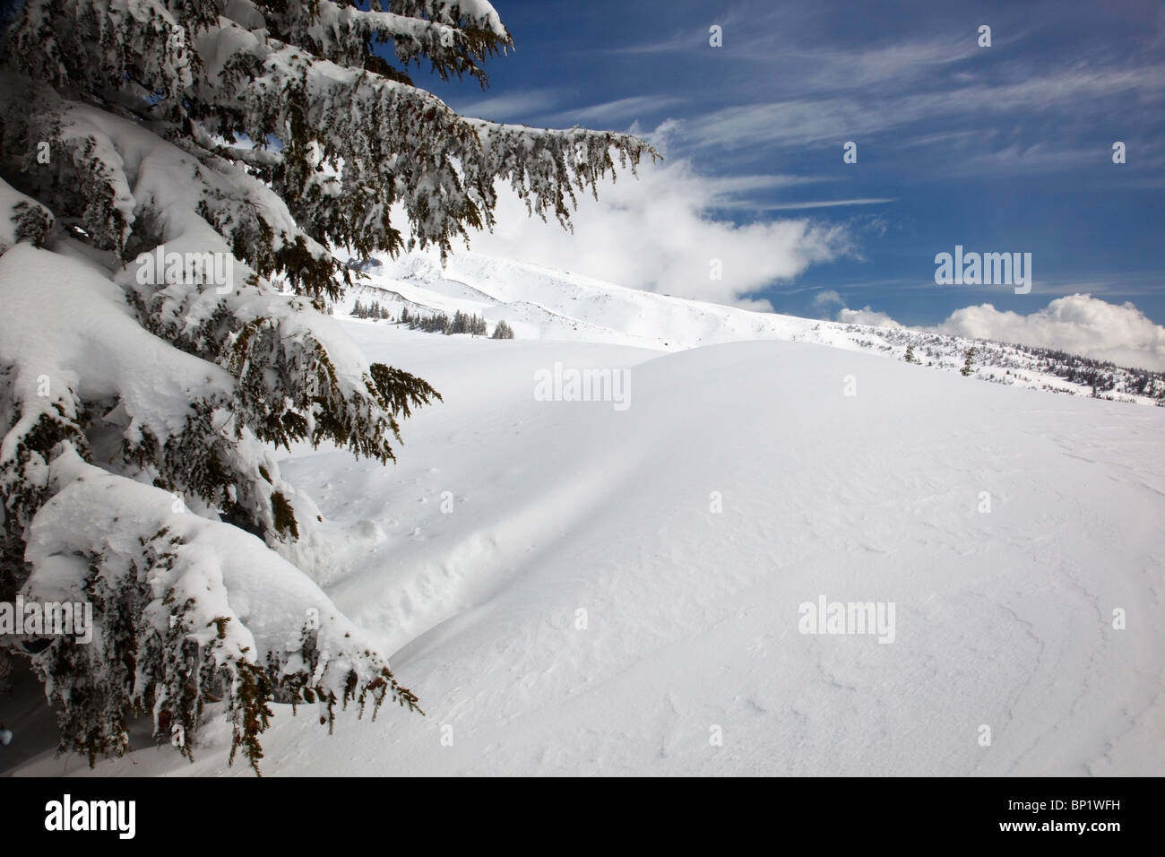 Timberline, Oregon Cascades, United States Of America; Snow On A Slope ...