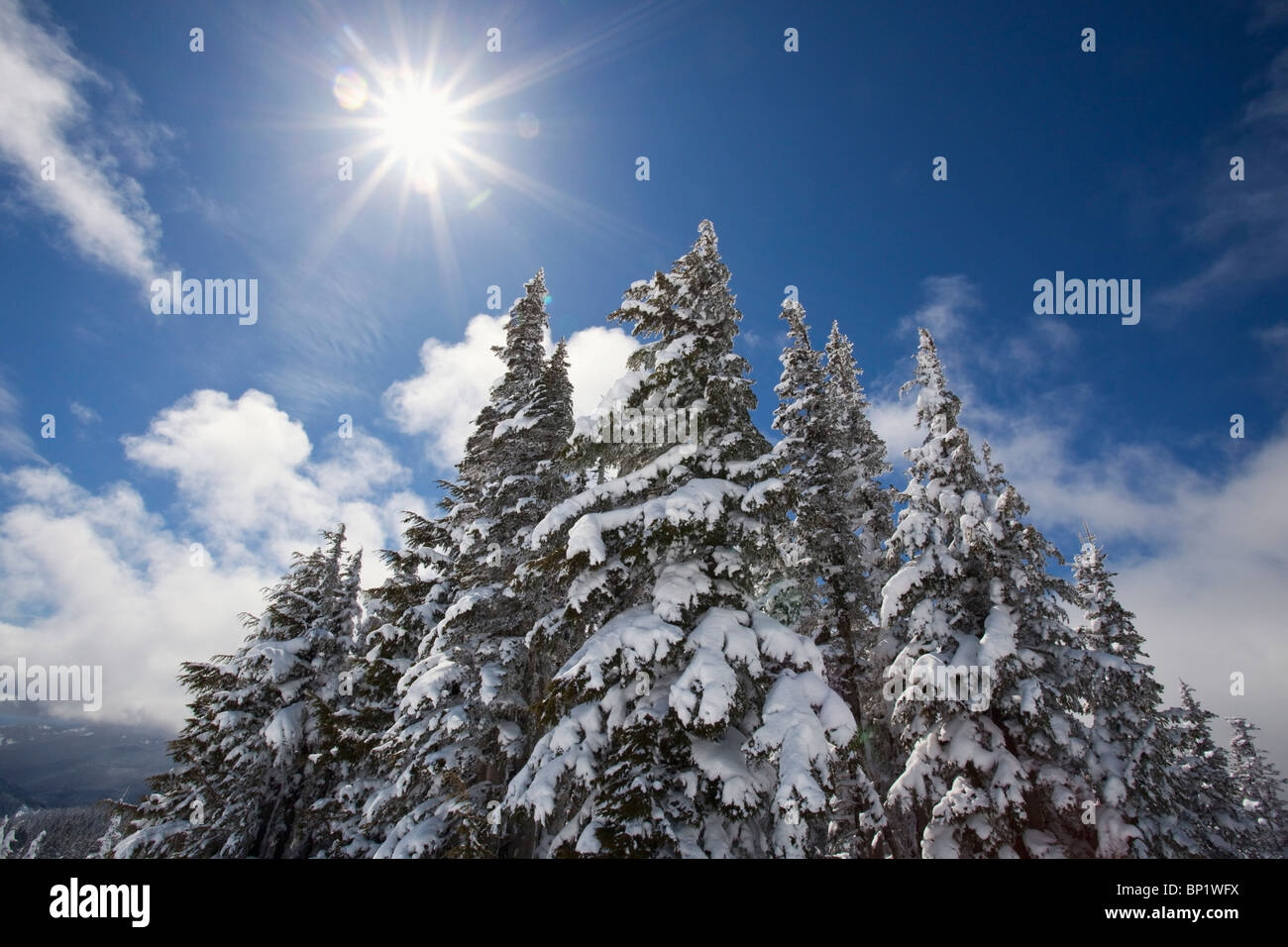 Timberline, Oregon Cascades, United States Of America; Snow On The ...
