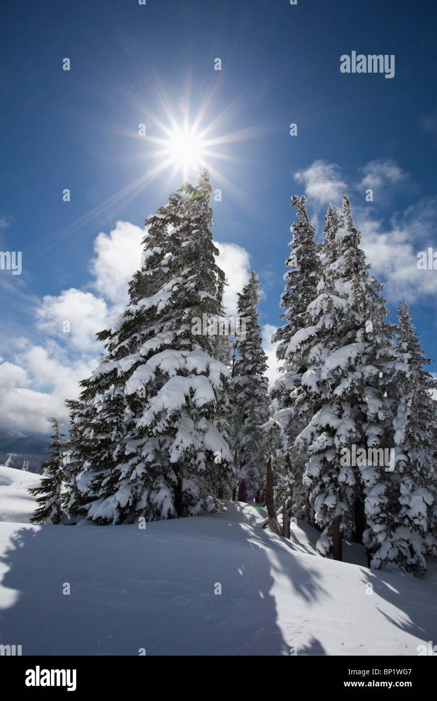Timberline, Oregon Cascades, United States Of America; Snow On The ...