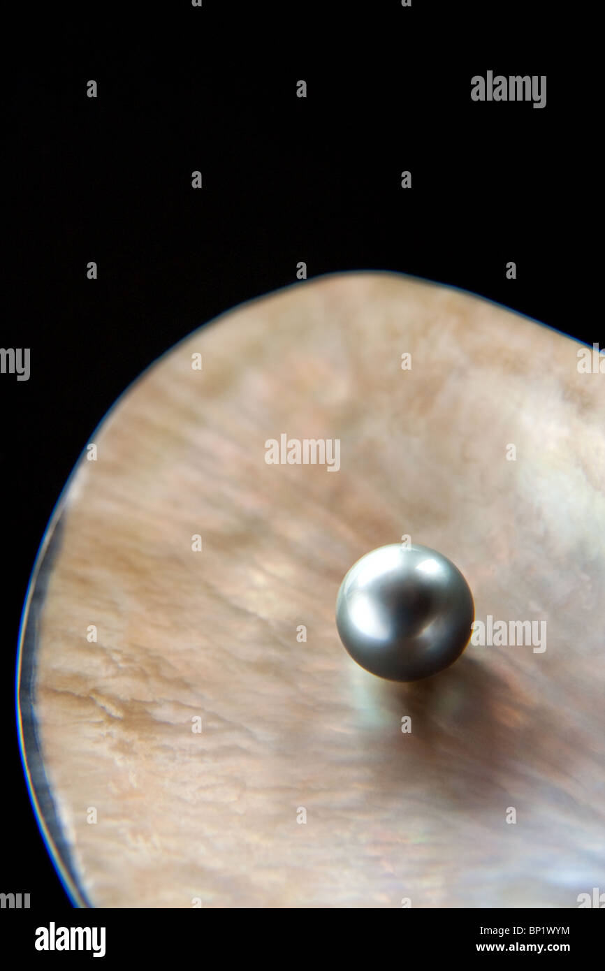 Precious grey pearl inside shell Stock Photo - Alamy