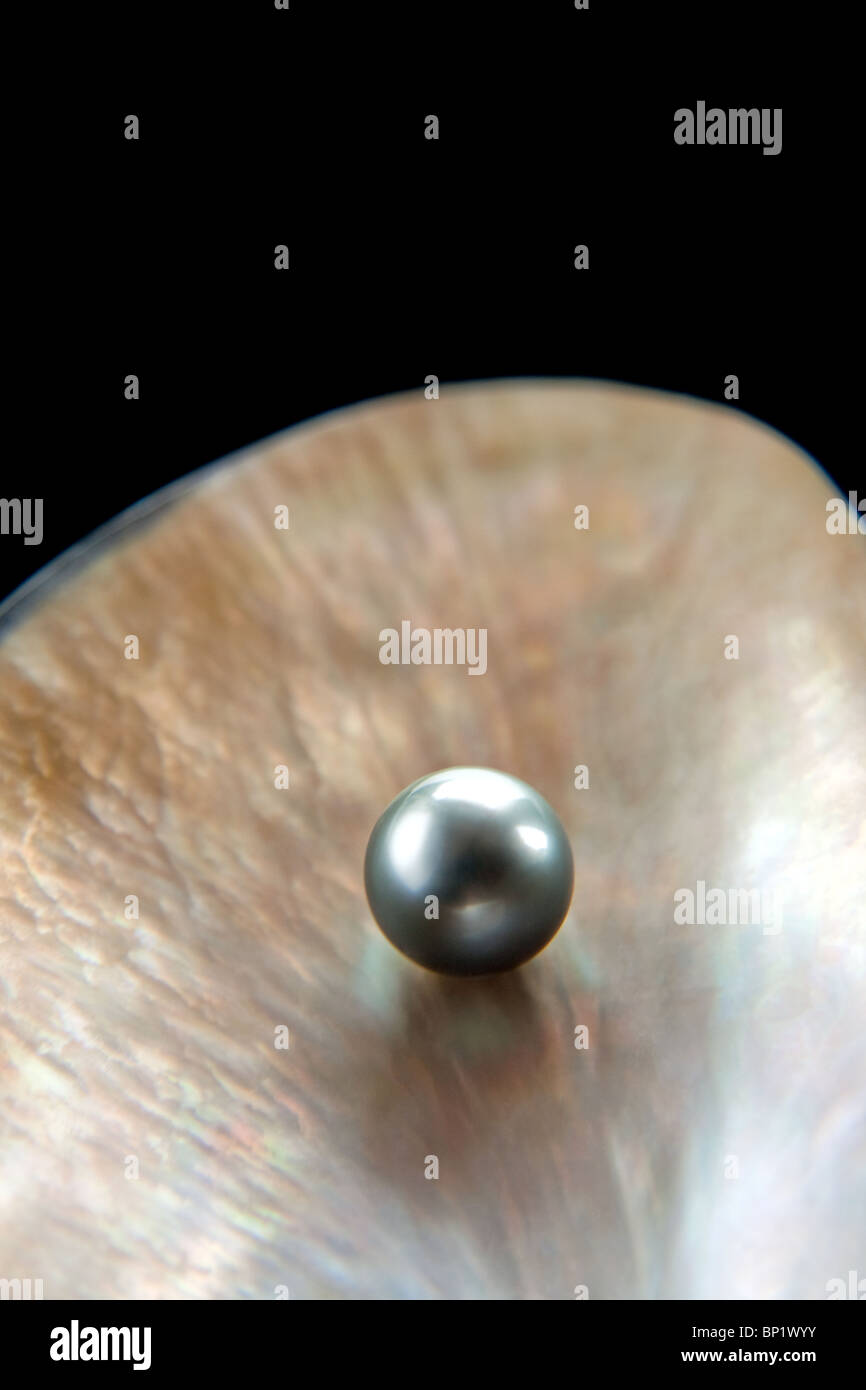 Lustrous grey pearl hi-res stock photography and images - Alamy