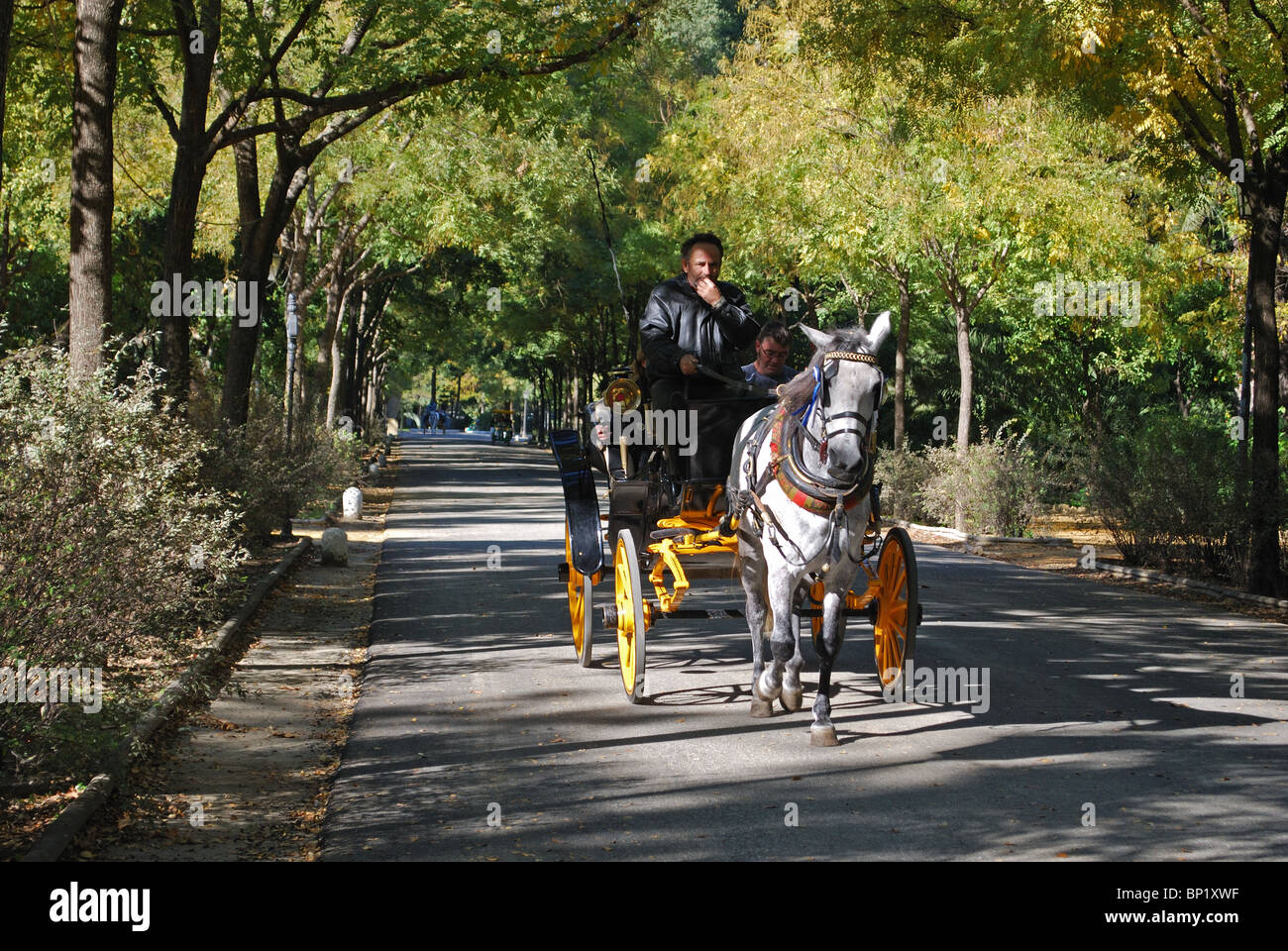 Parque de maría luisa carriage hi-res stock photography and images - Alamy