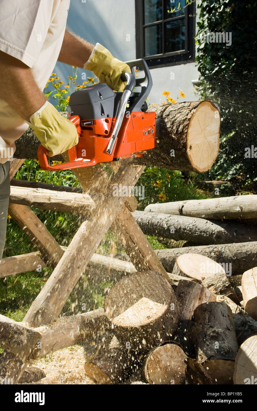 The chainsaw cutting the log of wood Stock Photo - Alamy