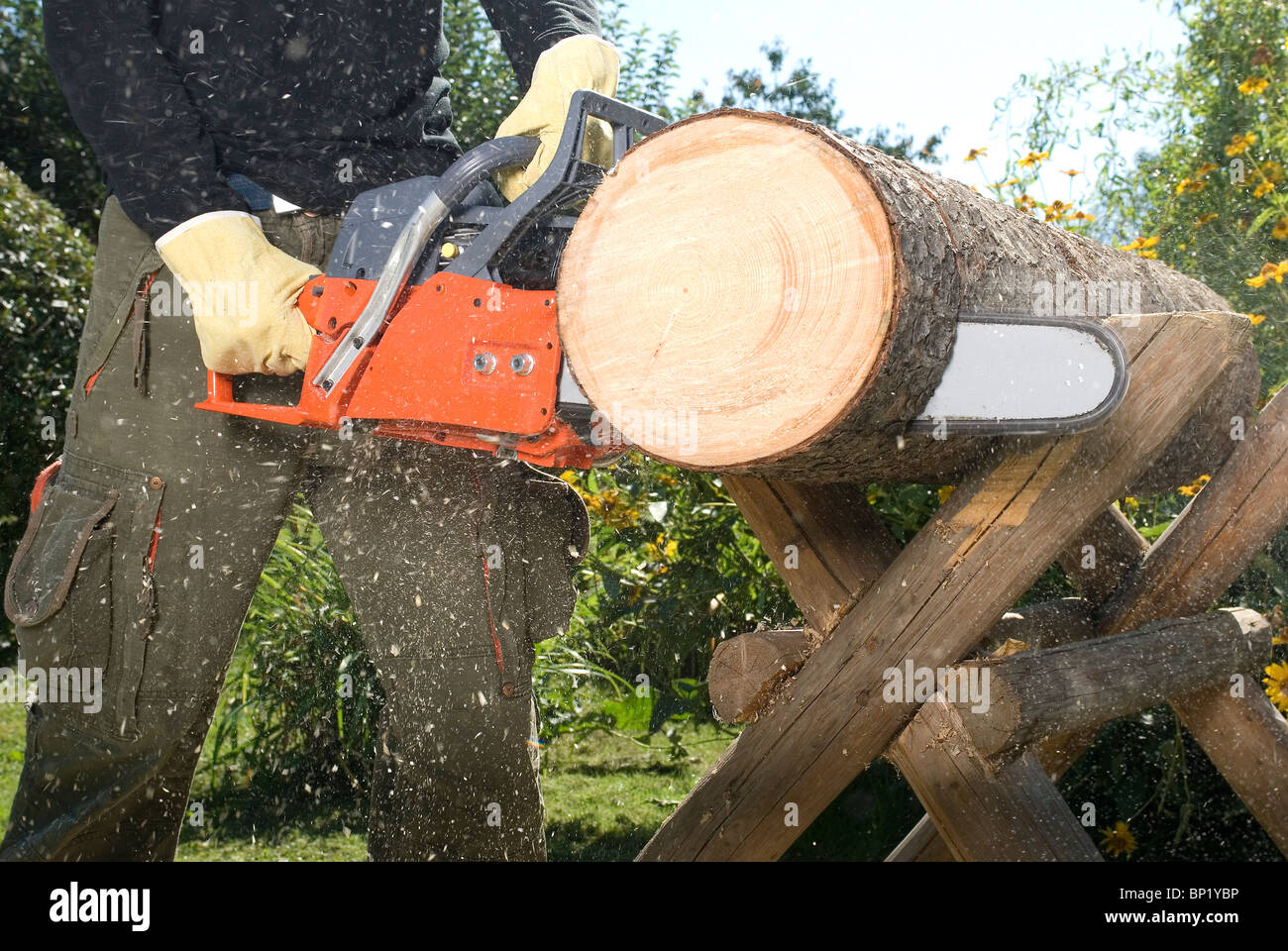 Craftsman chainsaw hi-res stock photography and images - Alamy