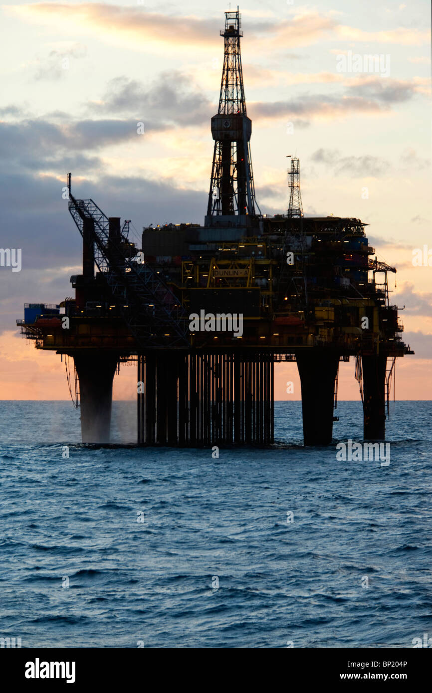 Dunlin a hi-res stock photography and images - Alamy