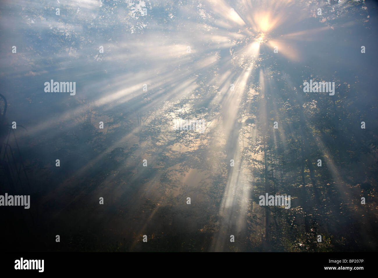 Sun through smoke hi-res stock photography and images - Alamy