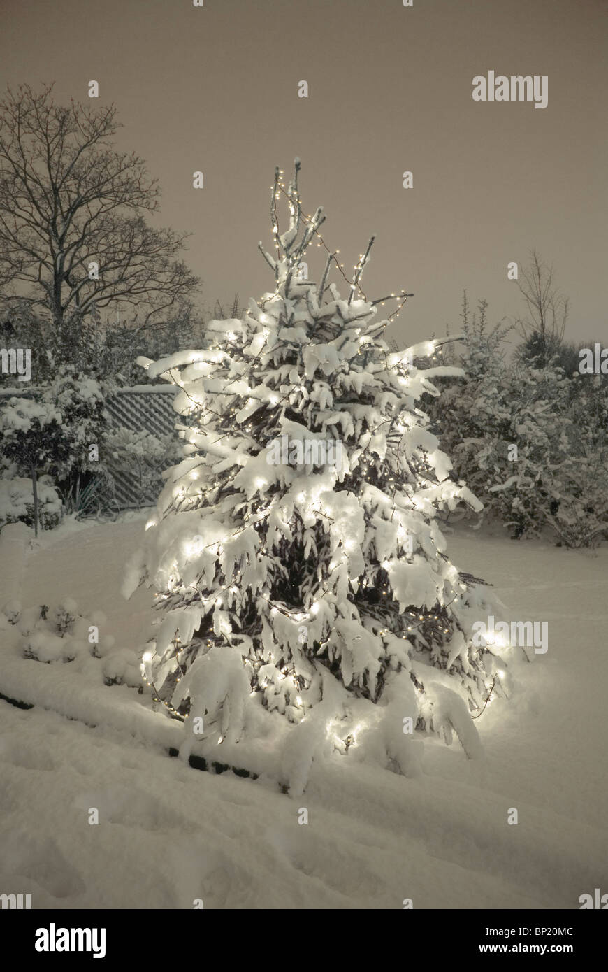 Sepia christmas tree hi-res stock photography and images - Alamy