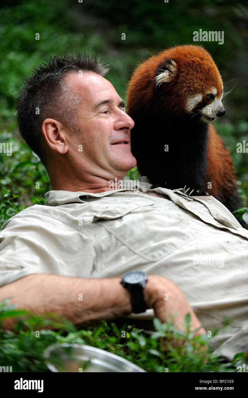 Wildlife presenter Nigel Marven poses with a red panda at Chengdu Panda ...