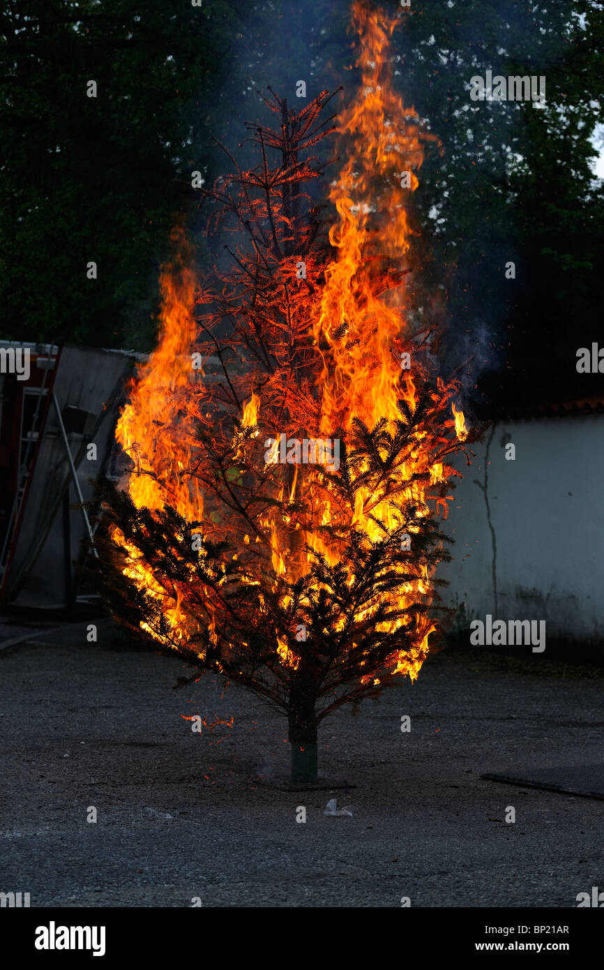 X danger tree hi-res stock photography and images - Alamy