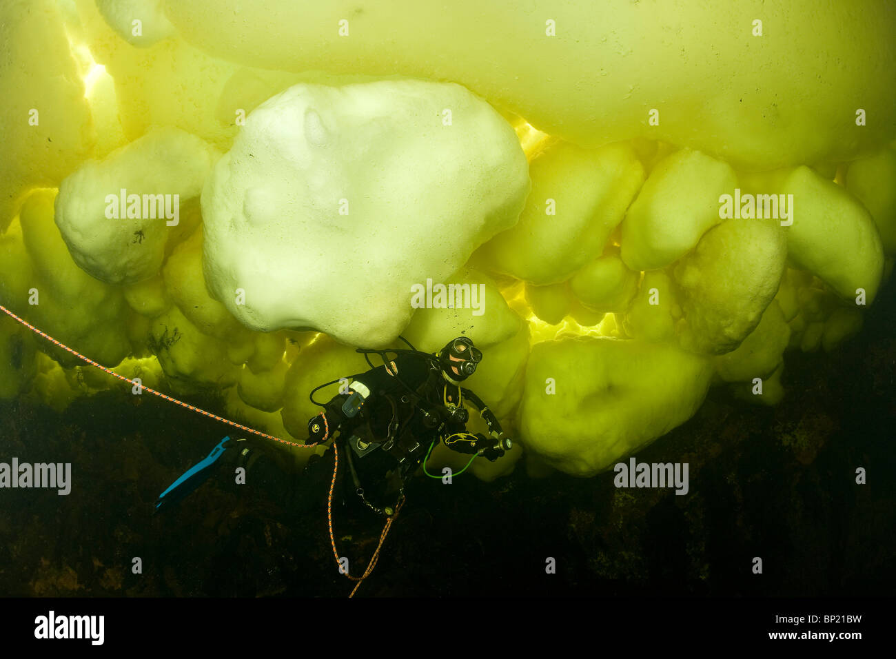 Diving under ice hi-res stock photography and images - Alamy