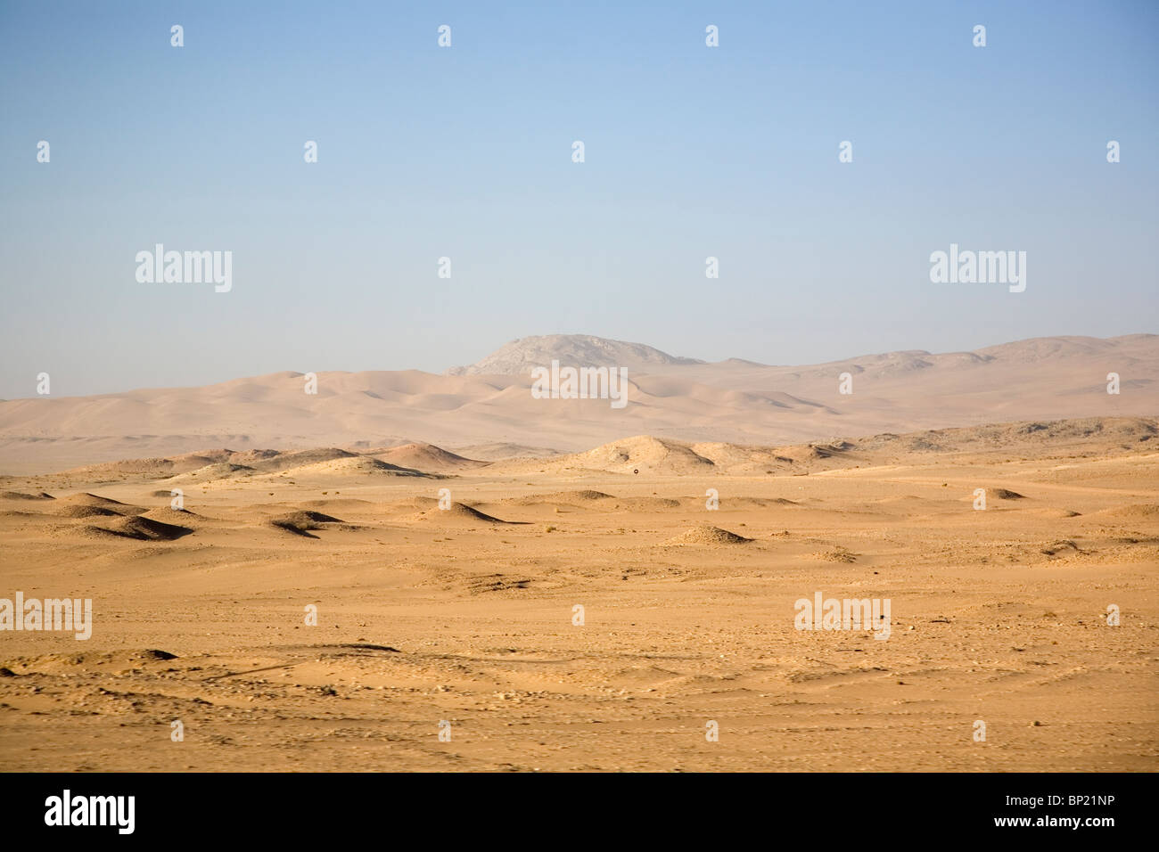 Semi desert landscape desert plants hi-res stock photography and images ...