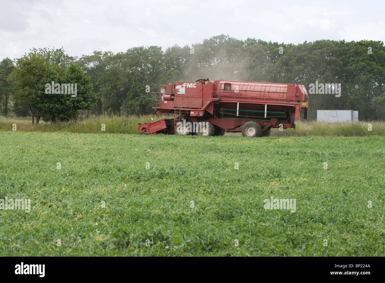 Pea viner hi-res stock photography and images - Alamy