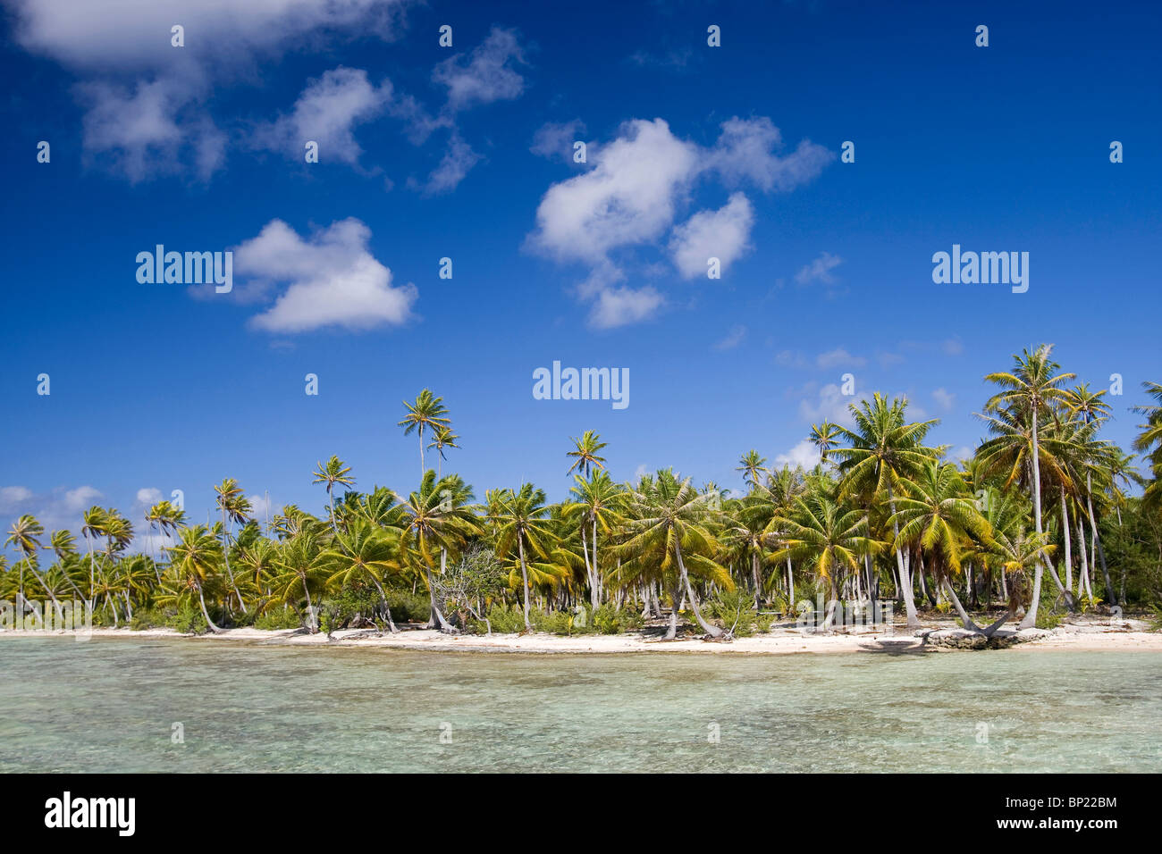 Beach of Manihi Island, Manihi, French Polynesia Stock Photo - Alamy