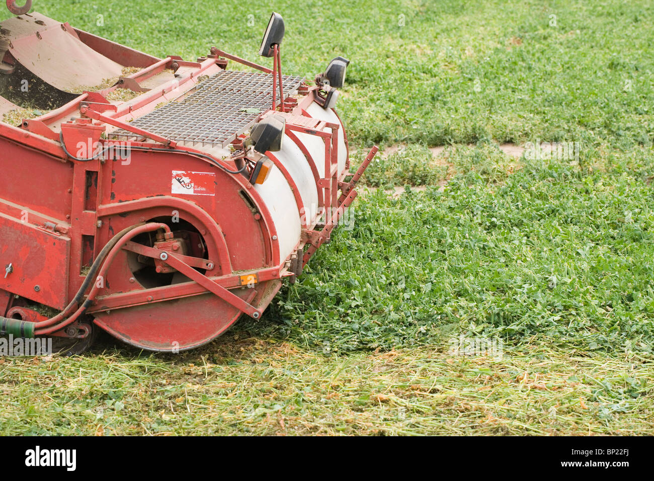 Pea Viner Harvester in action. Showing cutting-gathering intake head ...