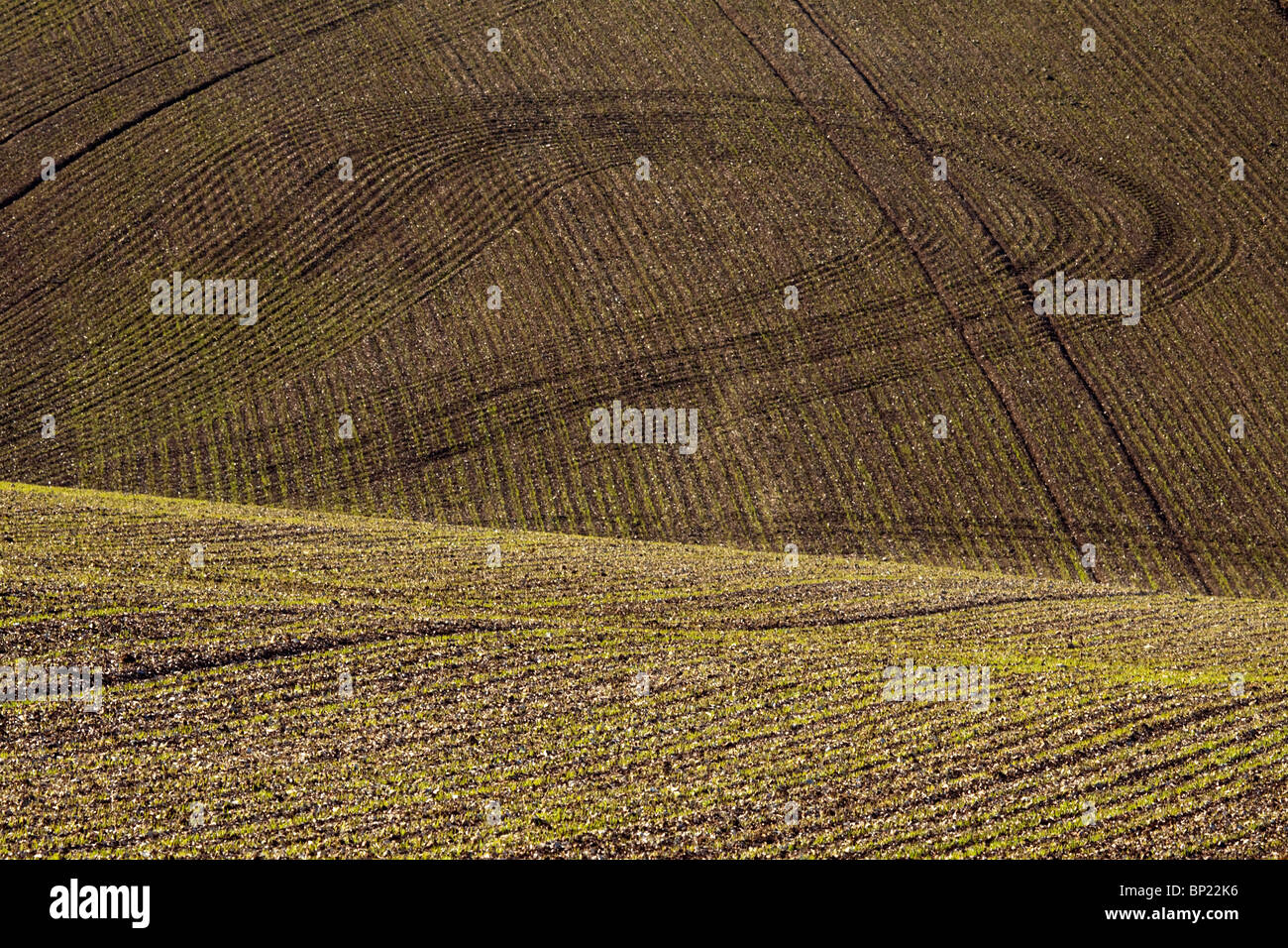 A photograph of cultivation patterns on a ploughed field Stock Photo ...