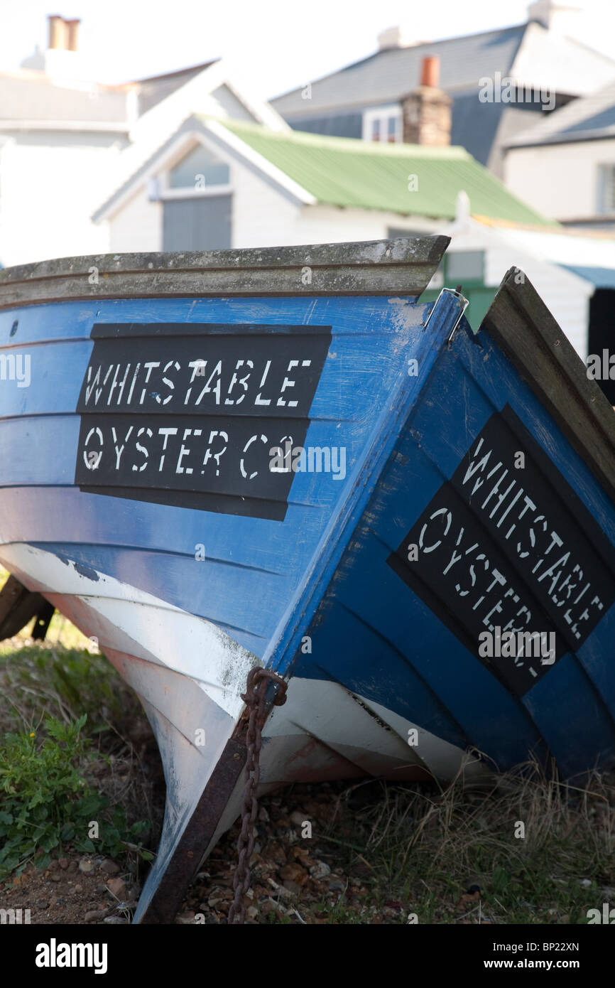 Empty whitstable oyster shells hi-res stock photography and images - Alamy