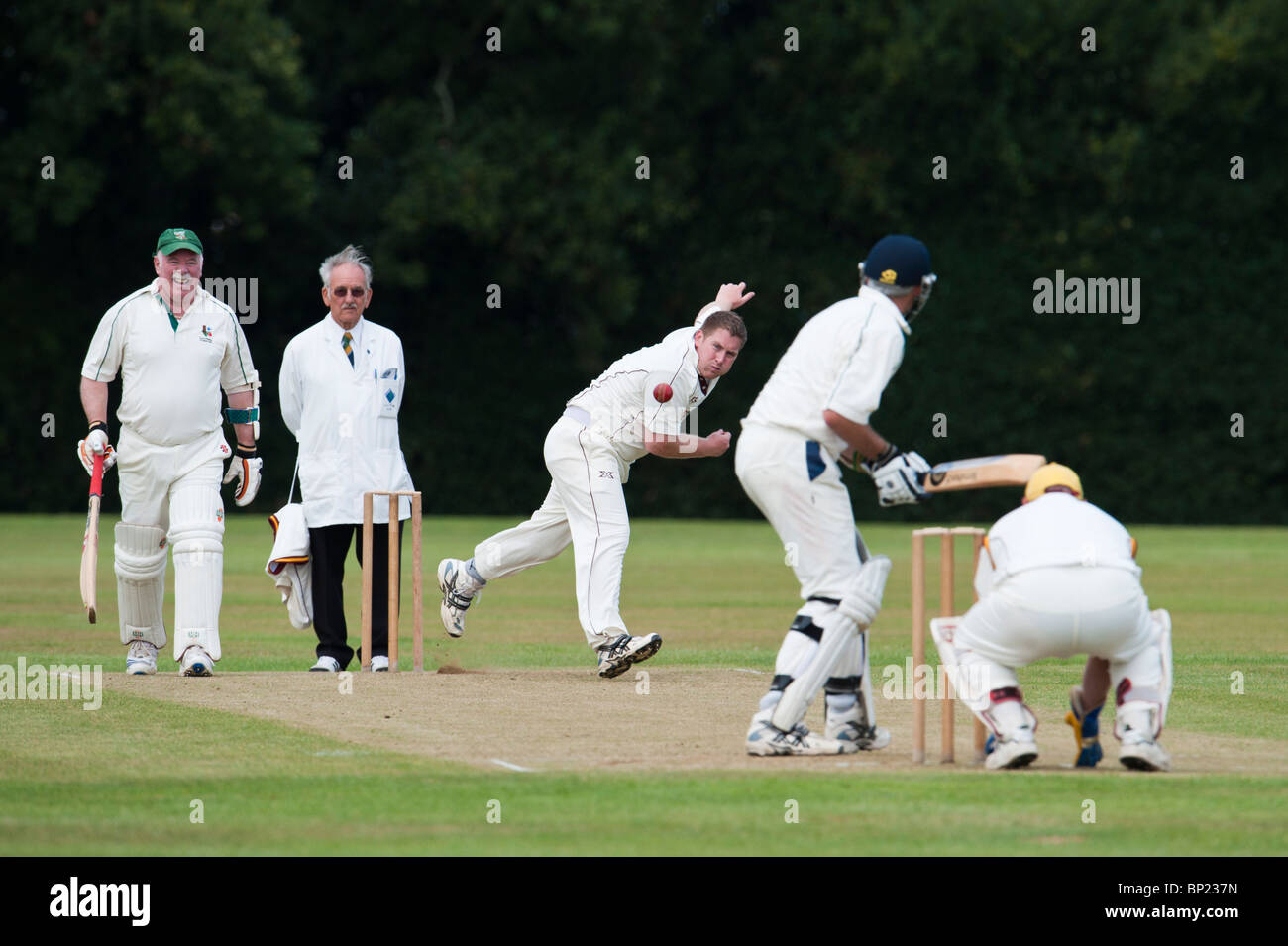 Cricket players in action hi-res stock photography and images - Alamy