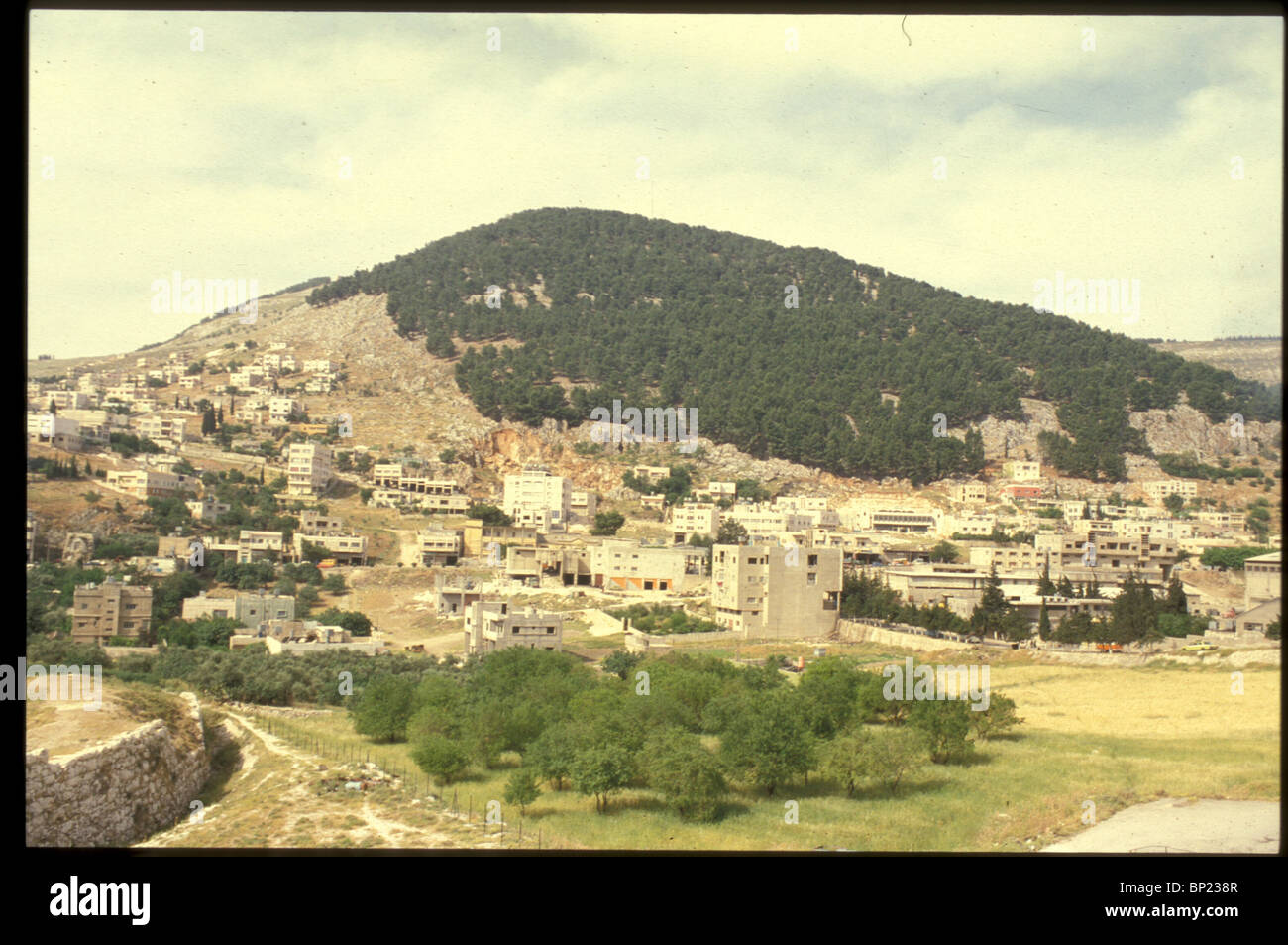 149. MT. GERIZIM, GENERAL VIEW OF THE MOUNTAIN NEAR SCHEM (NABLUS), A ...
