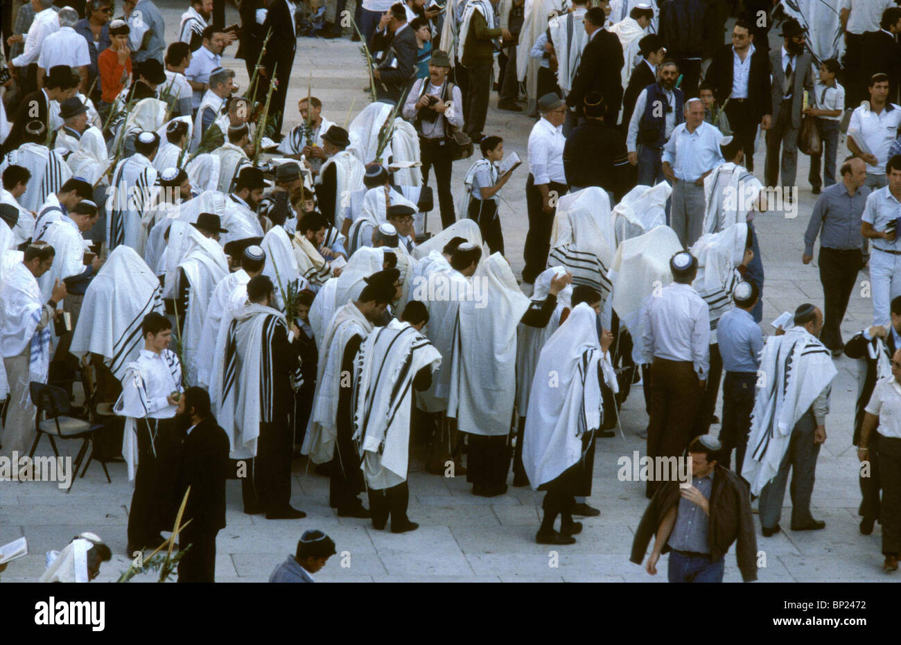425. PRAYING AT THE WESTERN WALL WITH THE FOUR SPECIES DURING THE FEAST ...