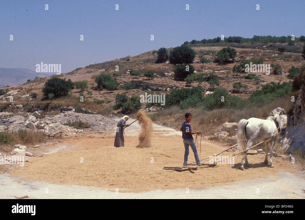 Treshing sledge hi-res stock photography and images - Alamy