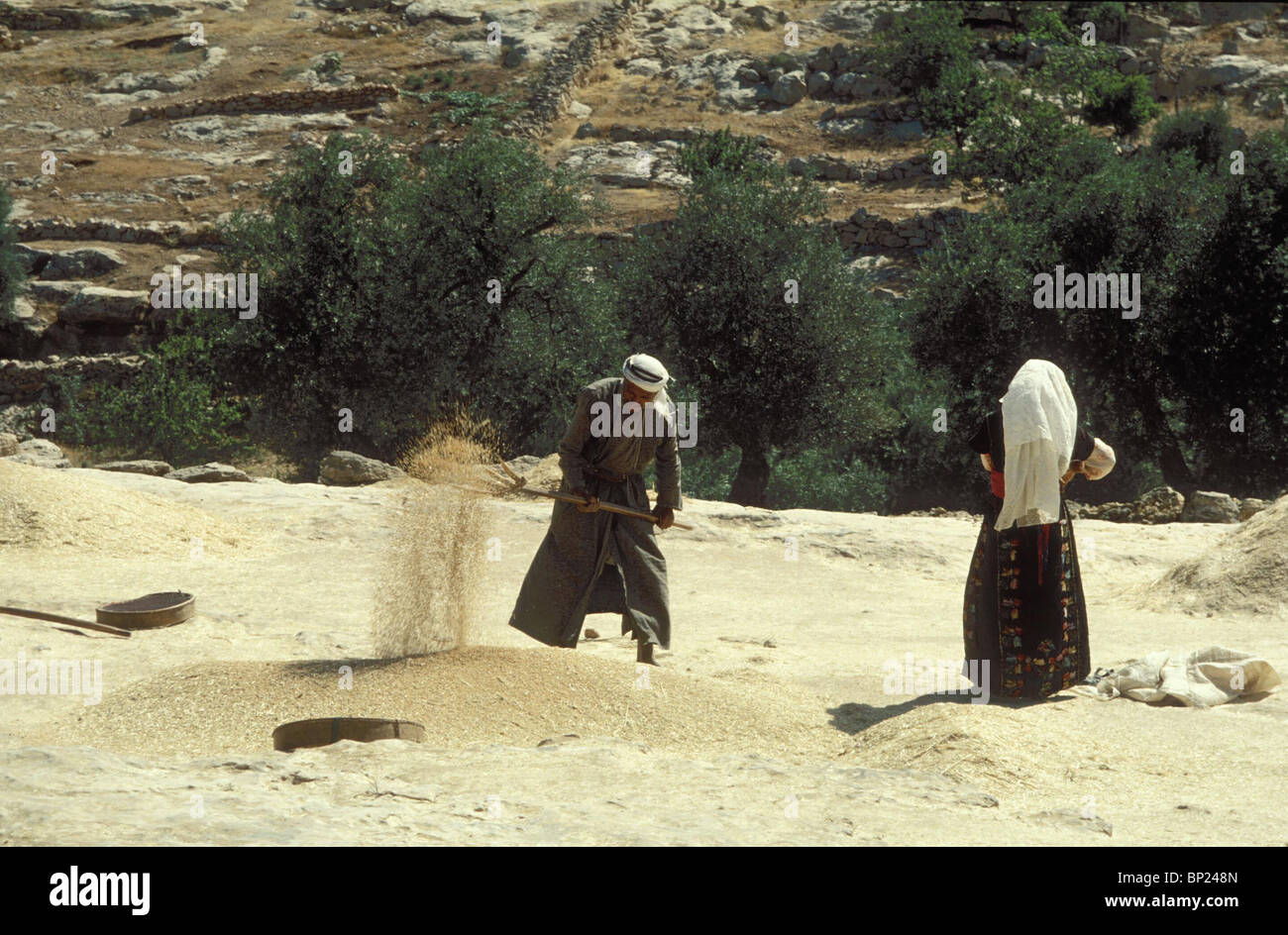 434. WINNOWING THE THRESHED GRAIN TO GET RID OF THE CHAFF "The wicked ...