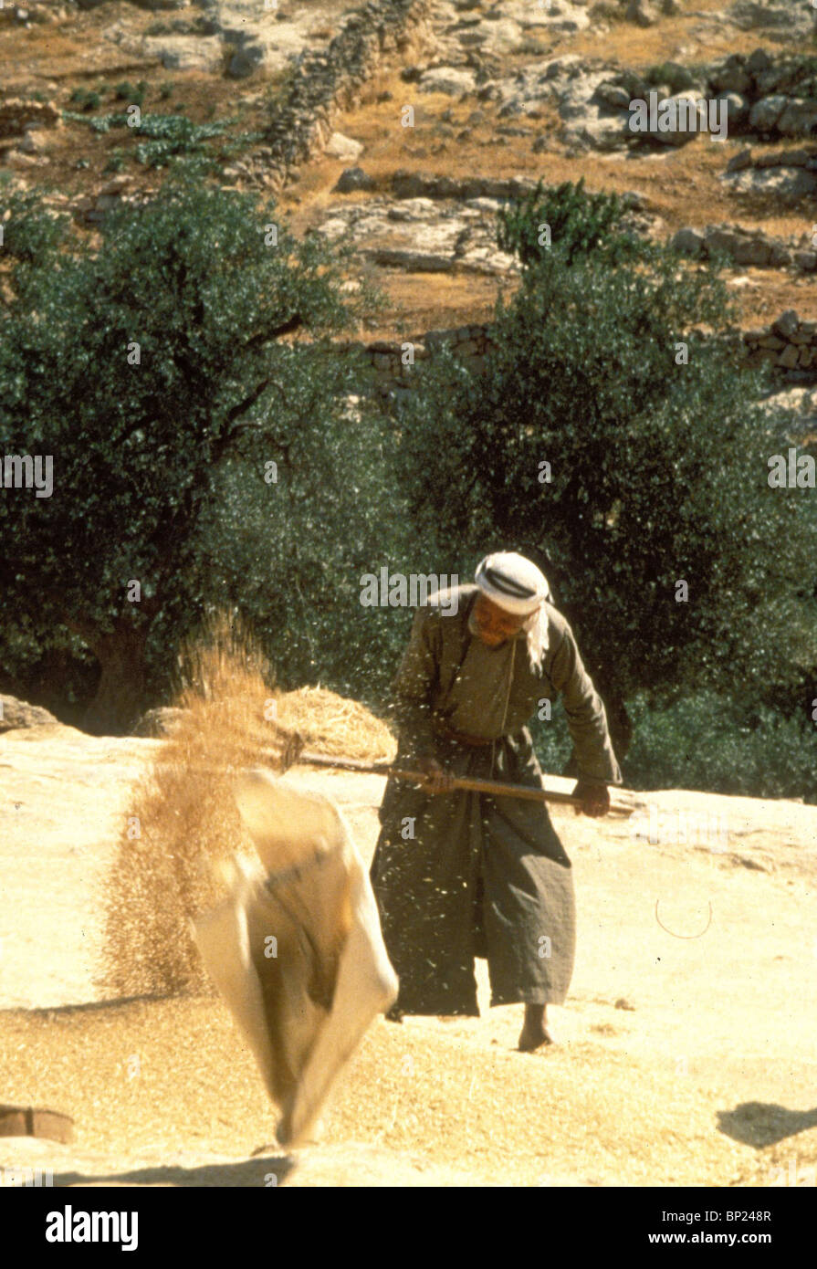 434. WINNOWING THE THRESHED GRAIN TO GET RID OF THE CHAFF "The wicked ...