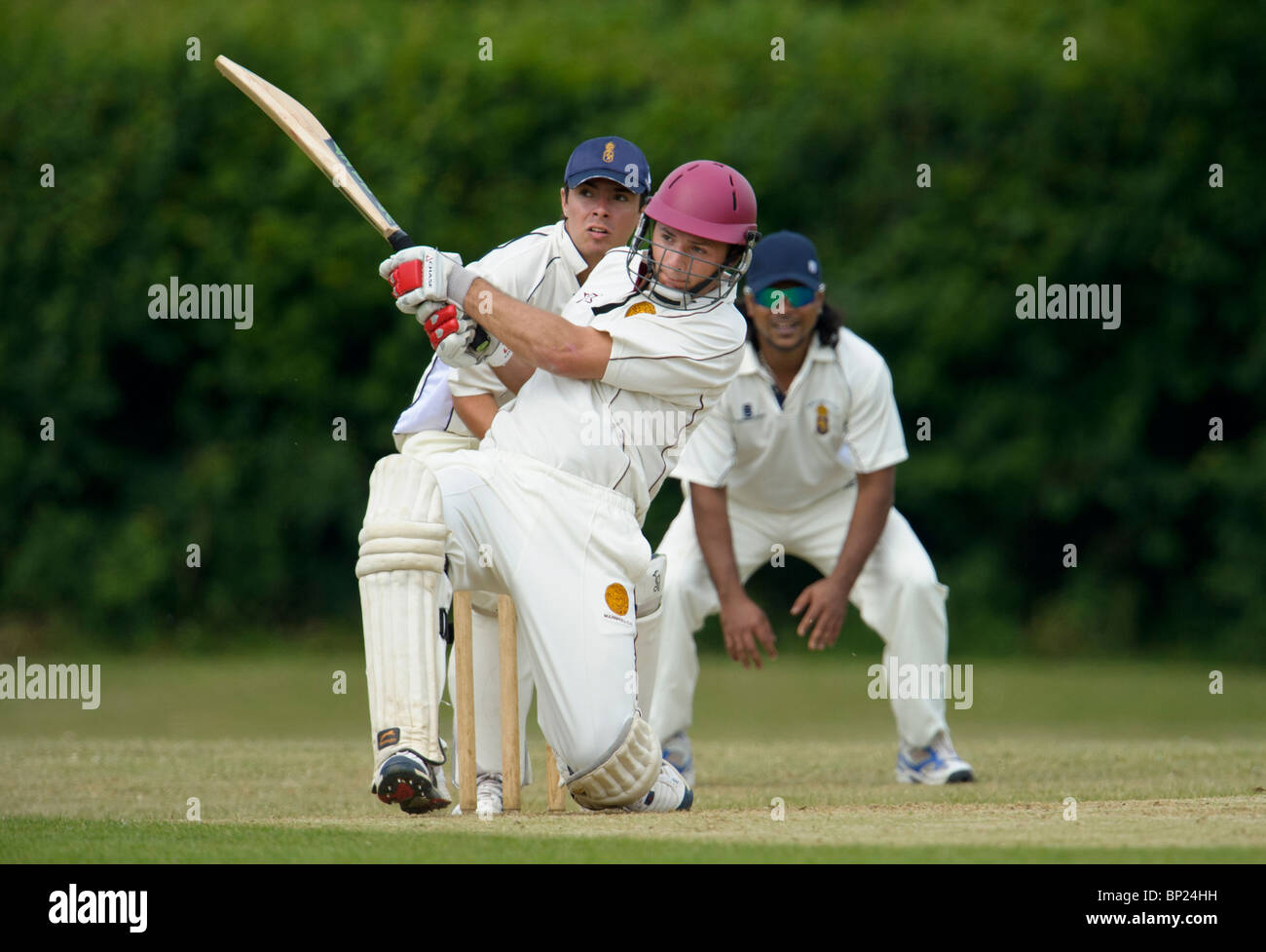 Cricket batsman in action Stock Photo - Alamy