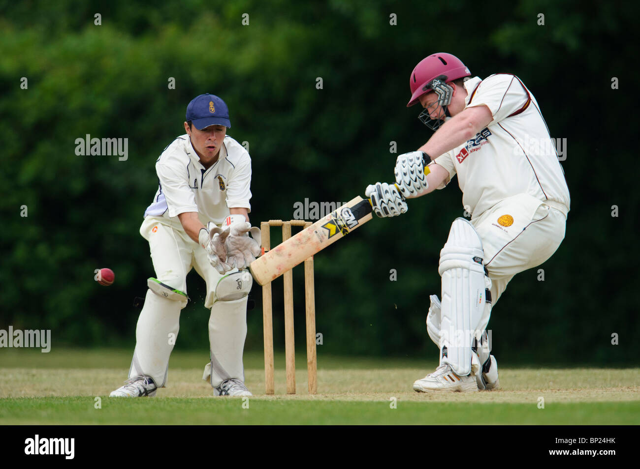 Cricket batsman in action Stock Photo - Alamy