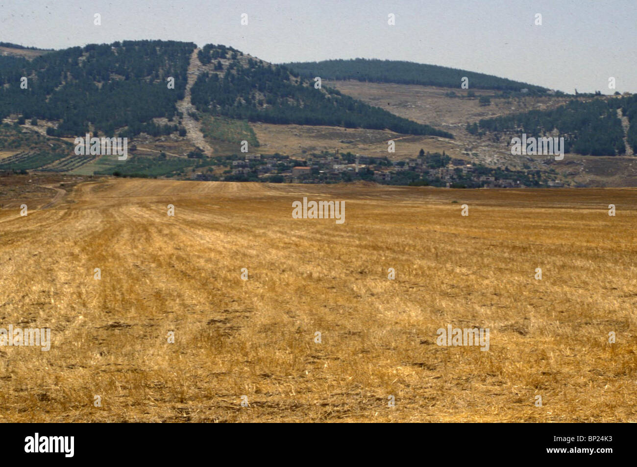 SHUNEM - CITY IN THE VALLEY OF JEZREEL, HOME OF THE SHUNAMITE WOMAN ...