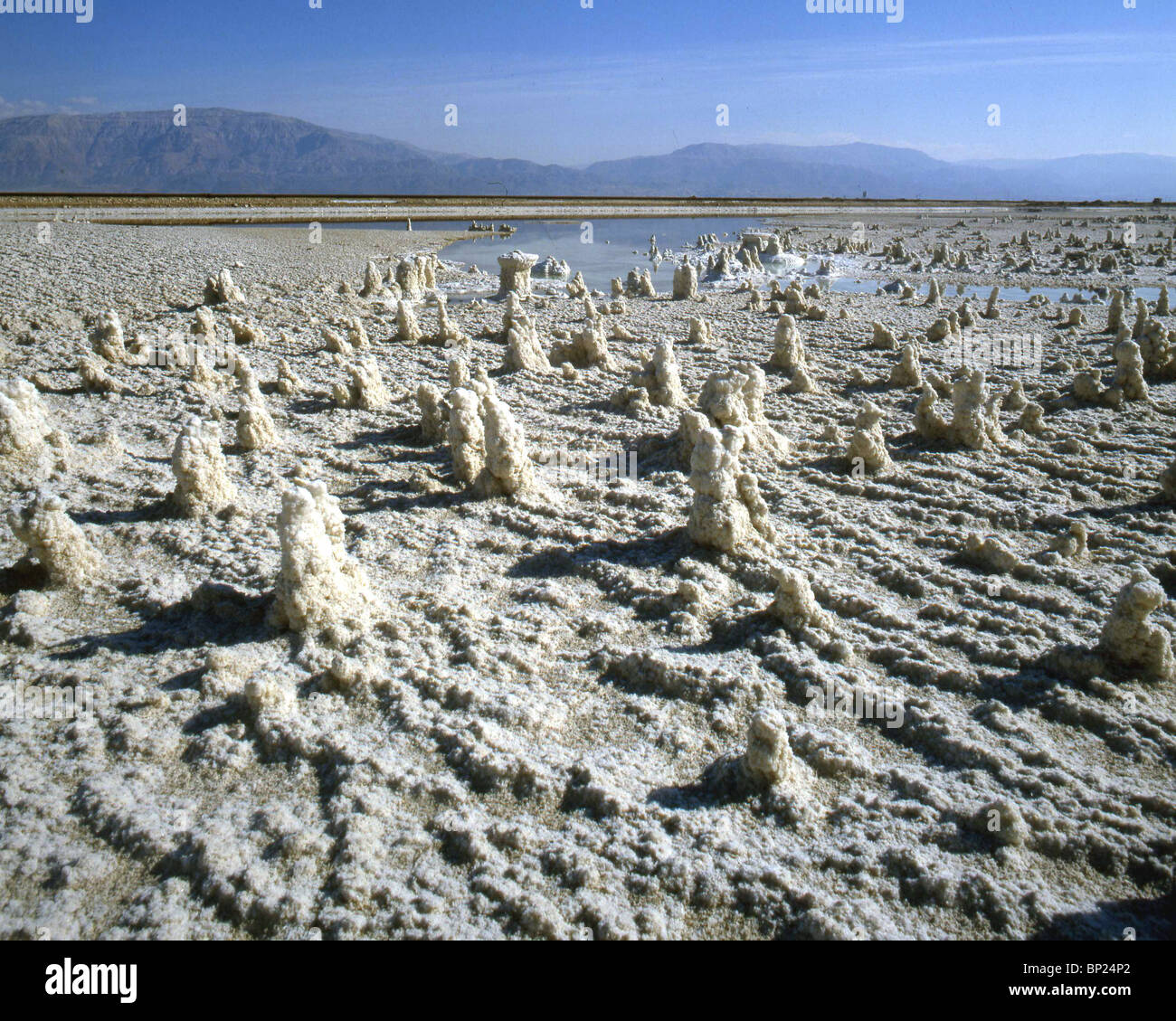 609. DEAD SEA - SALT CLUSTERS AT THE SURFACE OF THE SEA Stock Photo - Alamy