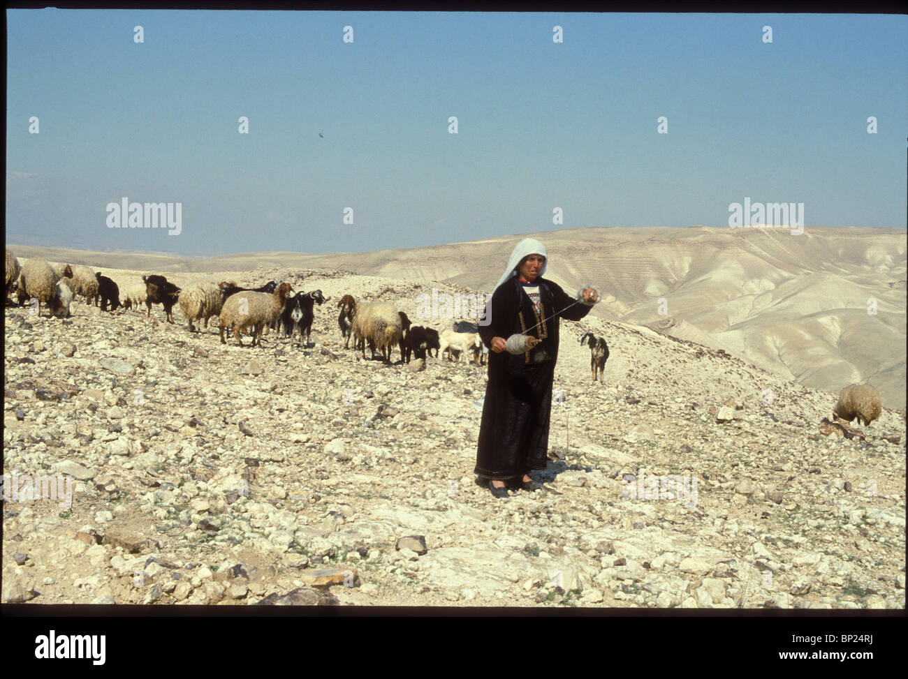 Can A Woman Be A Shepherd