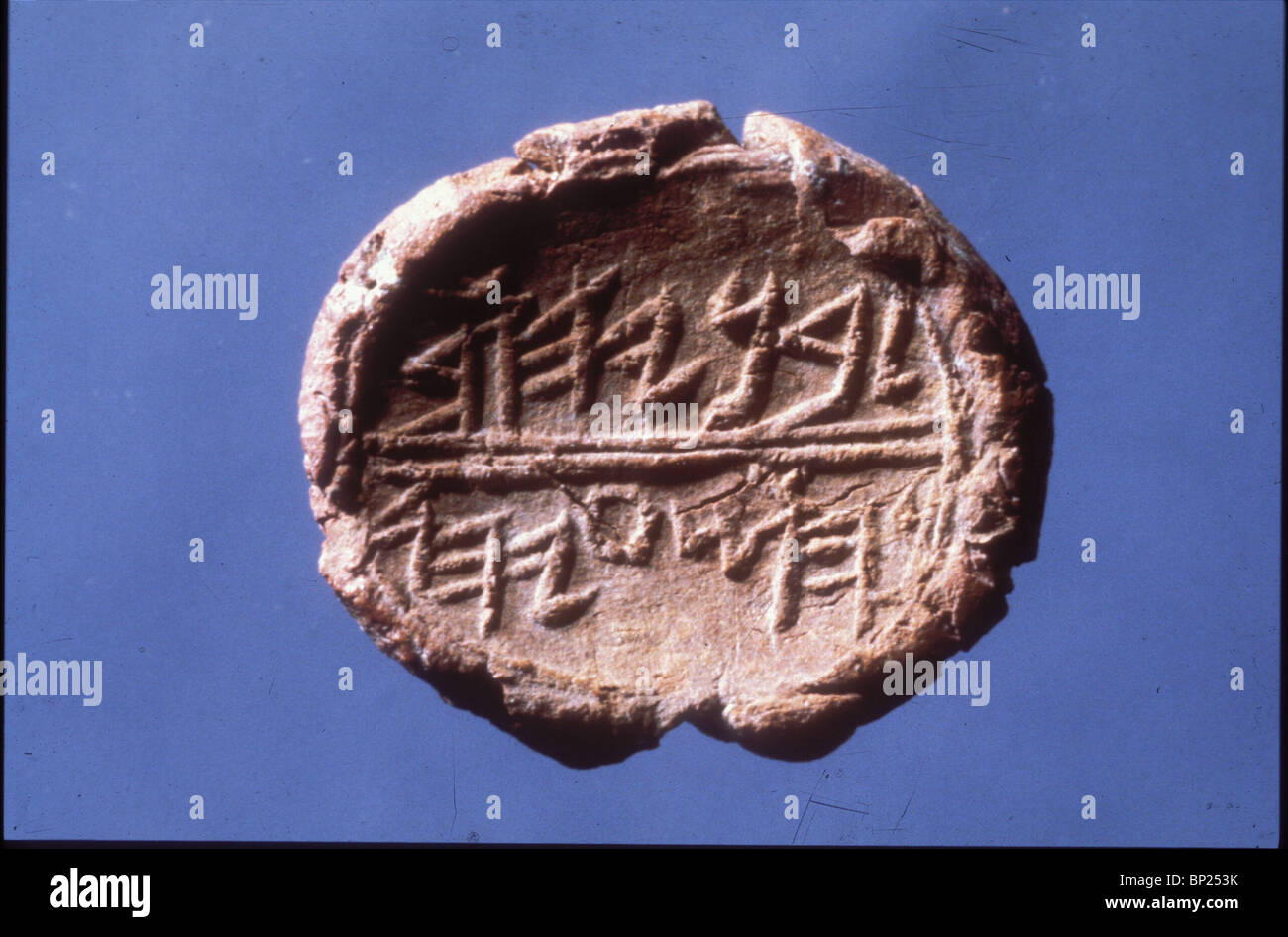 Bullae david hi-res stock photography and images - Alamy