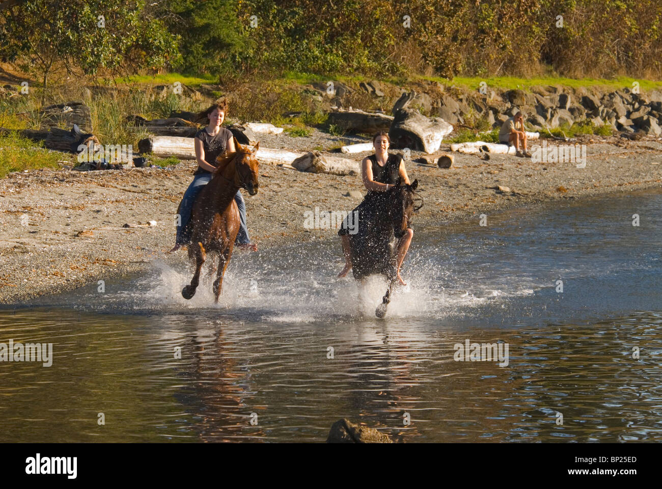Canada island horse riding hi-res stock photography and images - Alamy