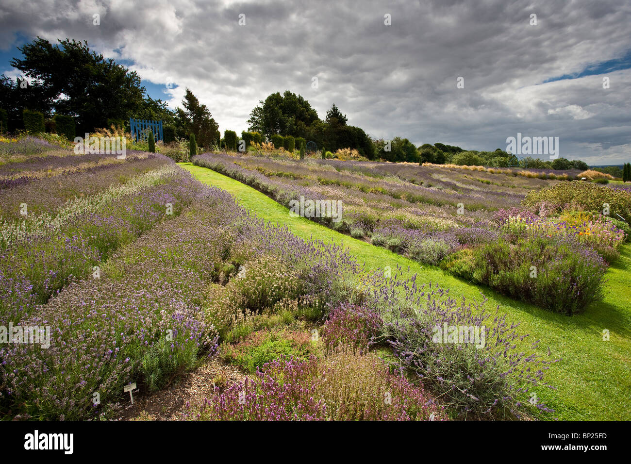 Terrington hi-res stock photography and images - Alamy